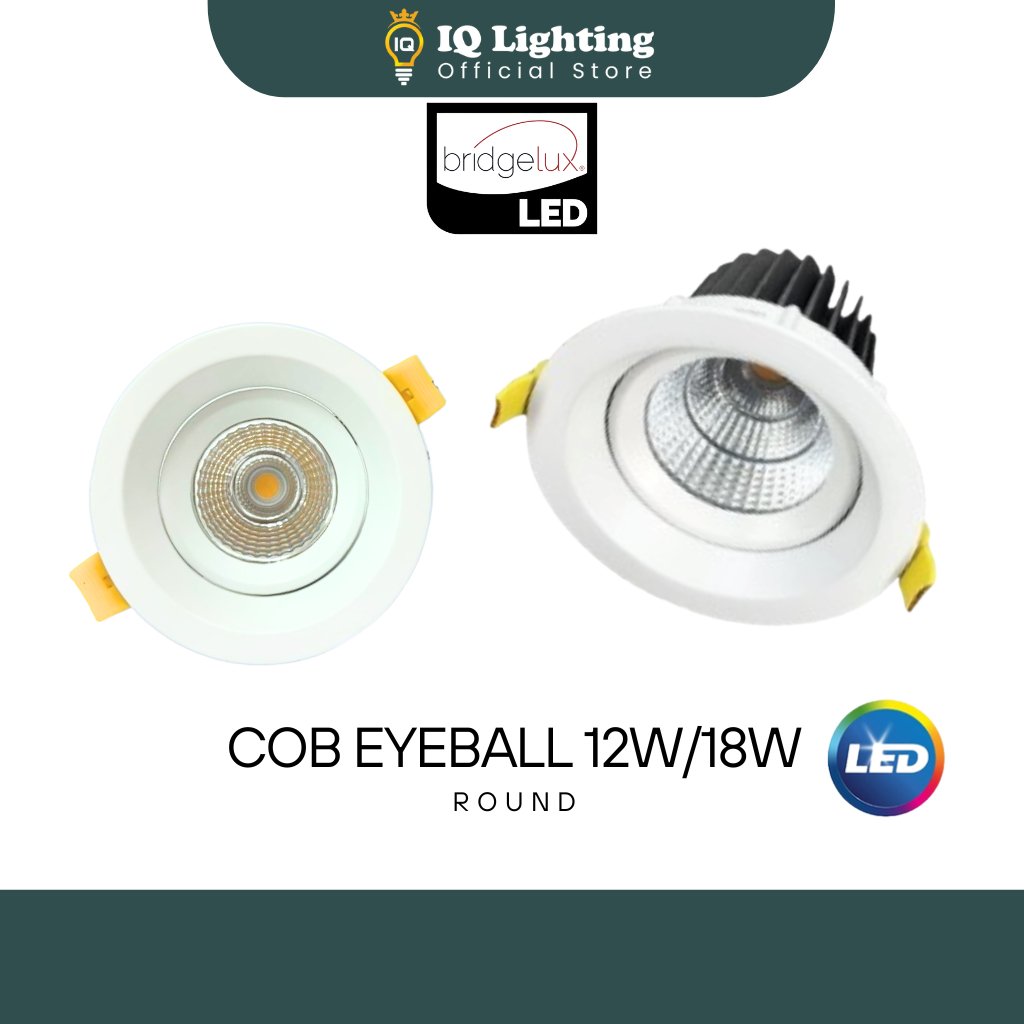 BRIDGELUX LED 36º Performance LED COB Eyeball (US LED) Round Recess ...